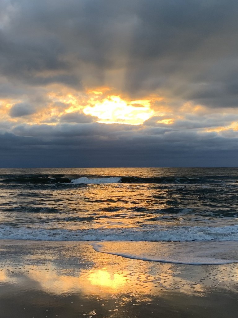 Hebrews 5 Lesson - Virtual Bible Study™