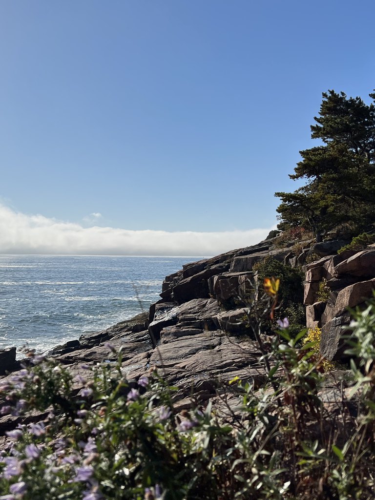 Revelation 1 Lesson - Virtual Bible Study™